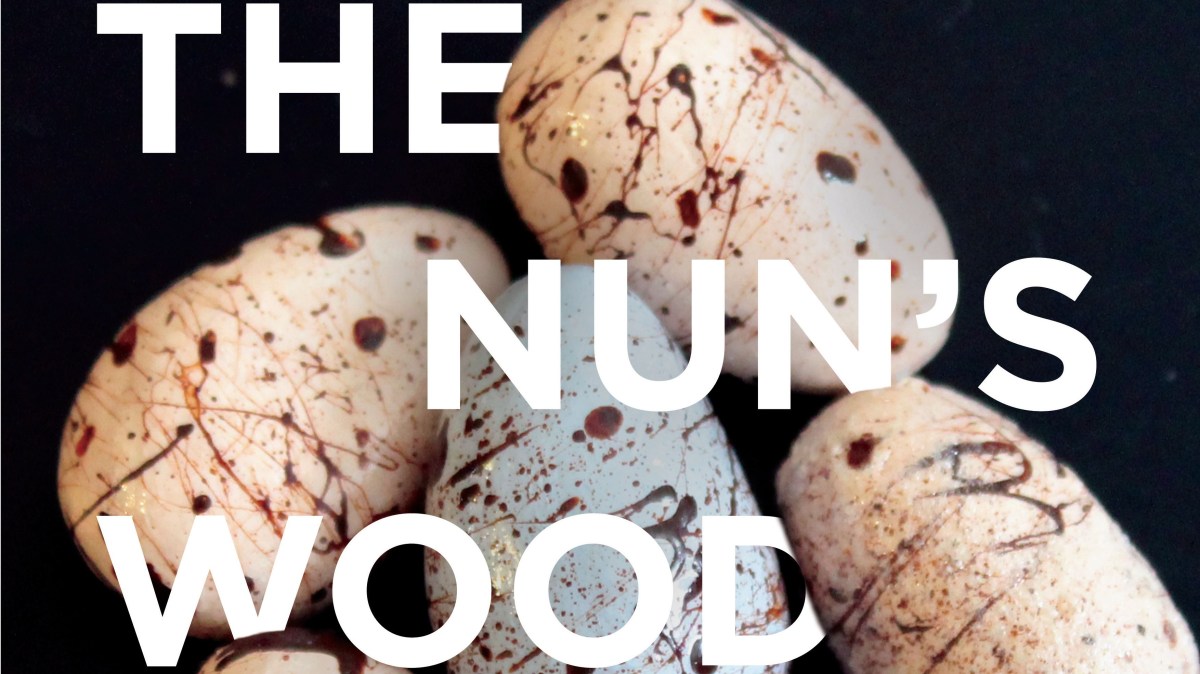 The Nun’s Wood by Pat Kinevane | ferocious composure