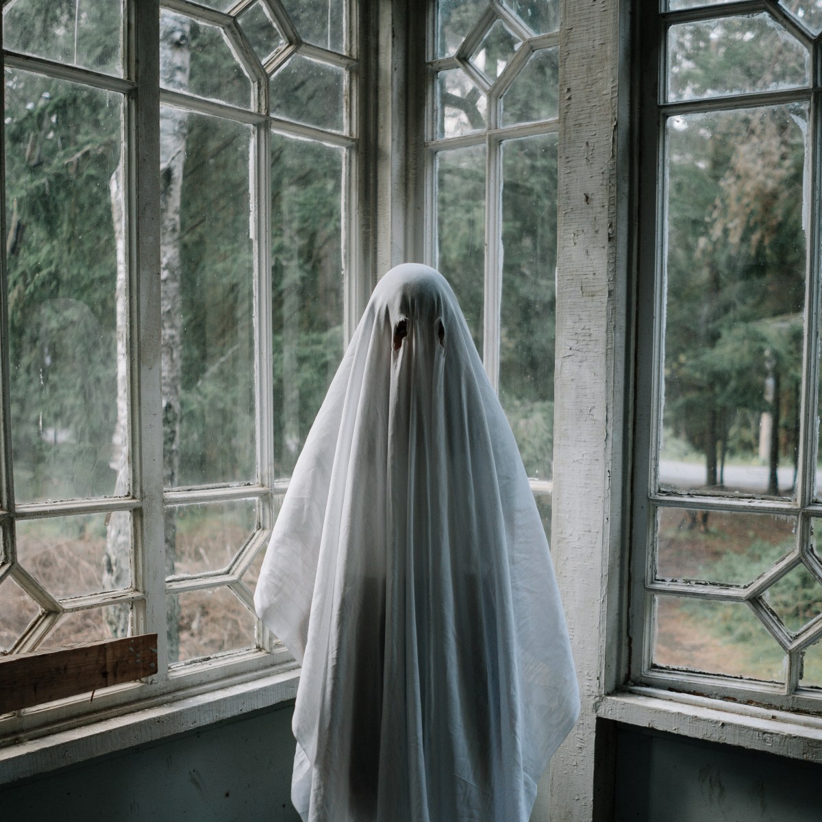 Illusory Profit Margins – A Poem About Ghosts and Capitalism ...